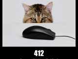 412 Precondition Failed Http Status Code And Cats