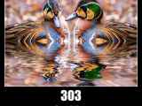 303 See Other Http Status Code And Ducks