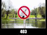 403 Forbidden Http Status Code And Cats