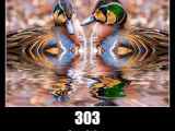 303 See Other Http Status Code And Dogs