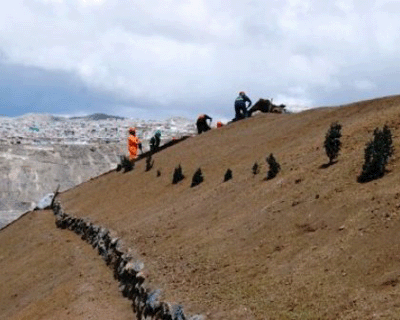 Minera Volcan reforesta áreas de botadero minero en Cerro de Pasco ...