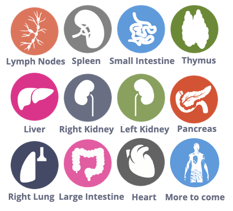 HuBMAP Consortium – The HuBMAP Human BioMolecular Atlas Program