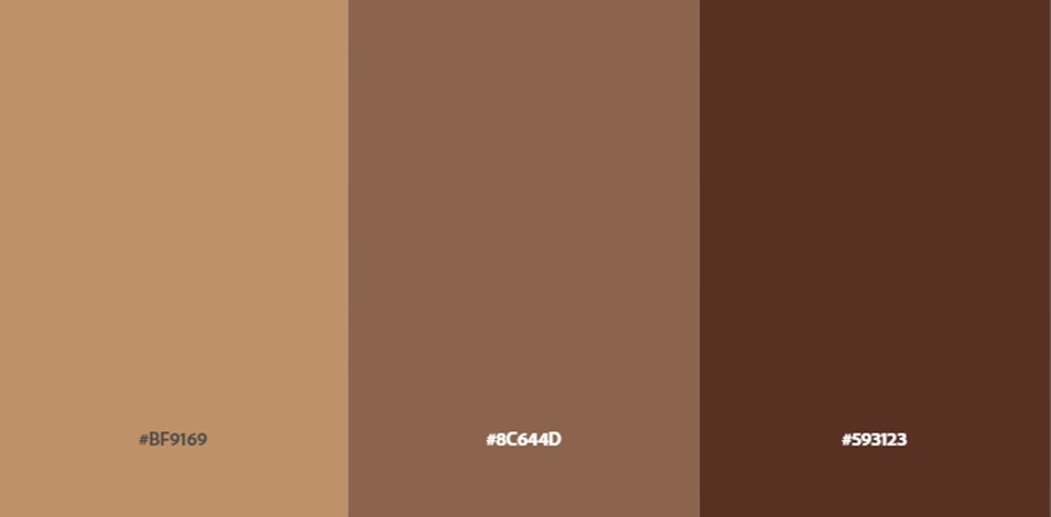 Skin Color Code : For all Skin tone color types (2022)