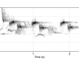 Chapter 6 Spectrograms Tutorial On Phonetics And Speech Analysis