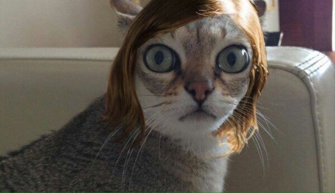 Stone Cold Truth… – HumorOutcasts.com