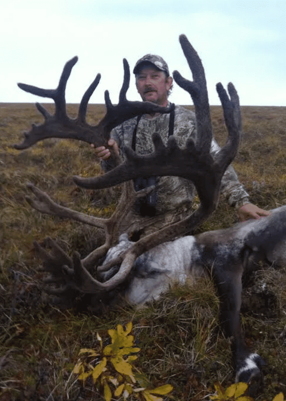 Caribou Hunt | Raft Hunt | Tok, AK - HuntAnywhere