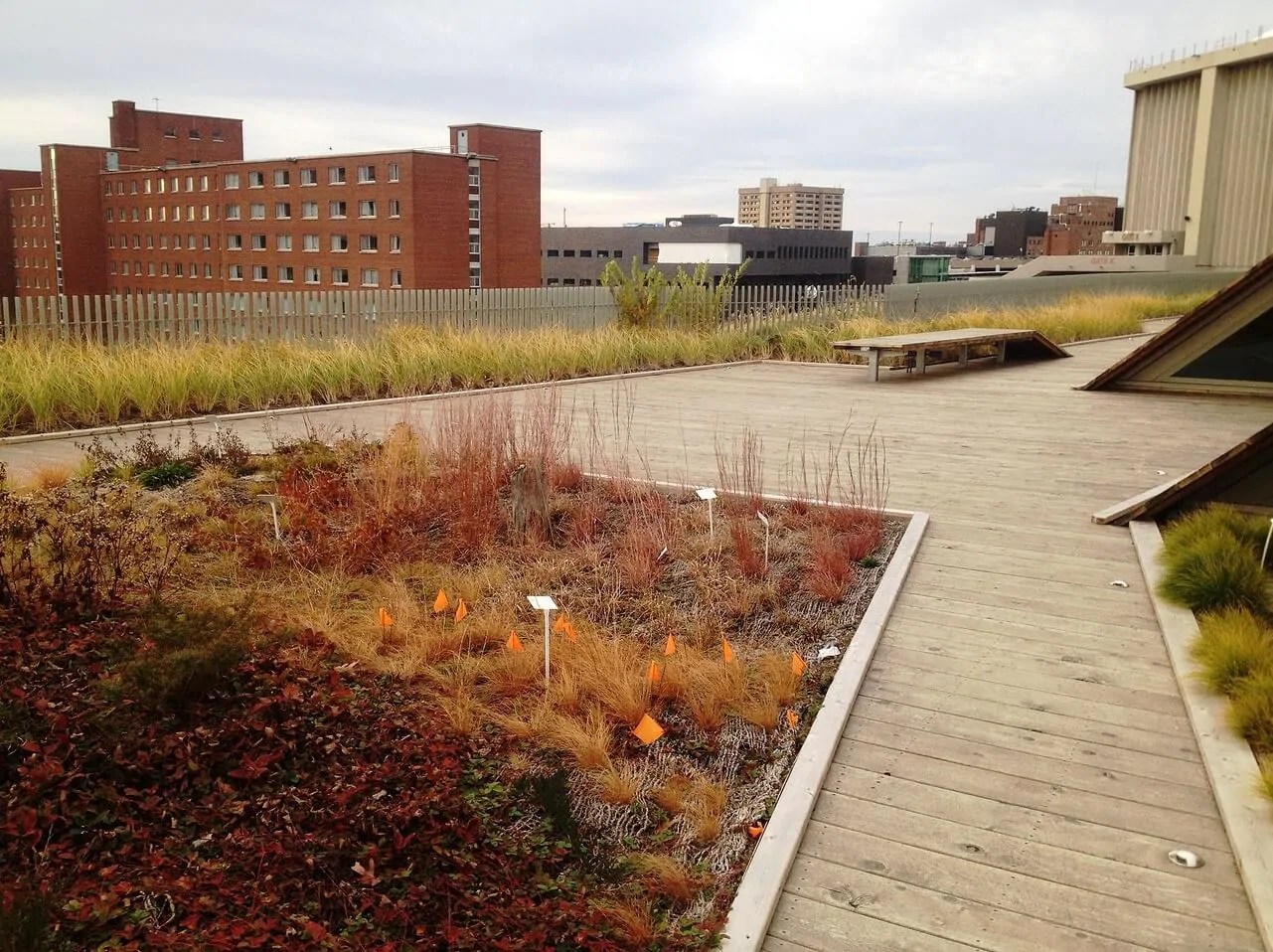 SUNY ESF - Intensive Green Roof New York - Highview Creations
