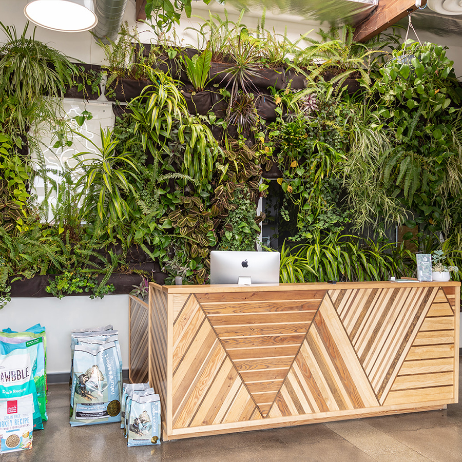 Gallery | Hydrant Pet Hotel