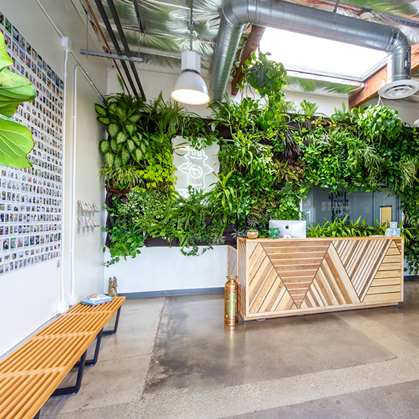 Gallery | Hydrant Pet Hotel