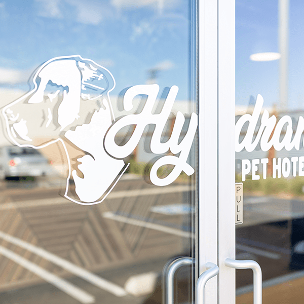 Gallery | Hydrant Pet Hotel