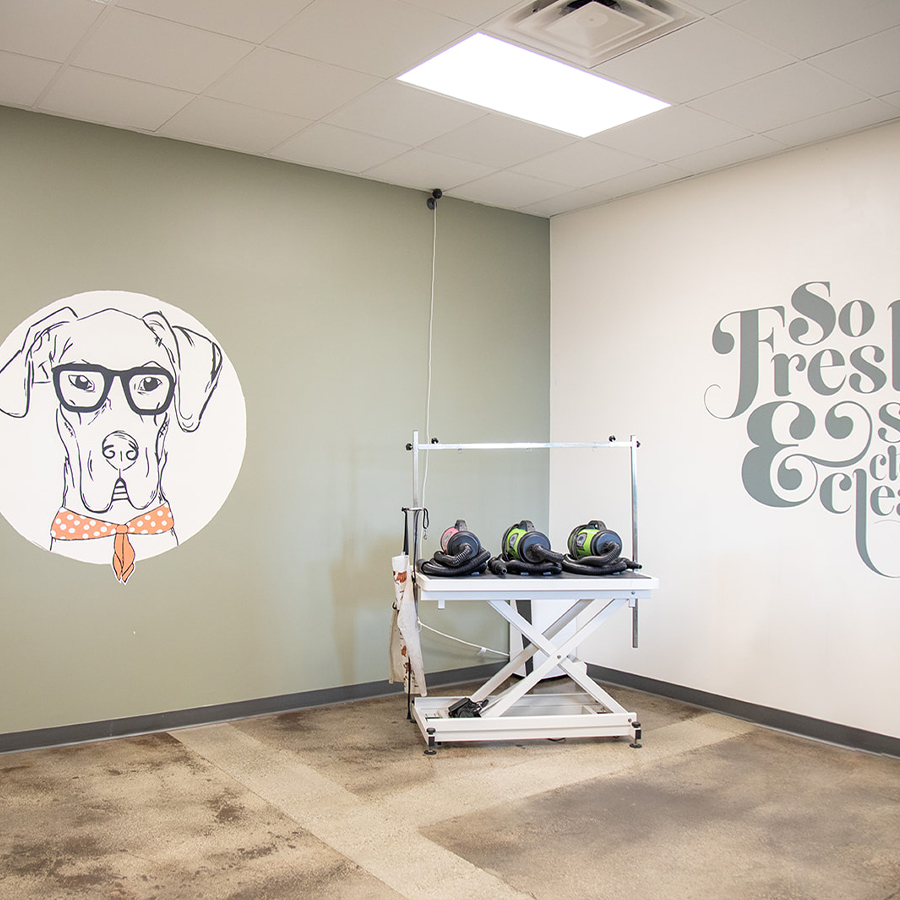 Gallery | Hydrant Pet Hotel