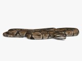 Common Python 3d Model Download Reptile On 3dmodels Org