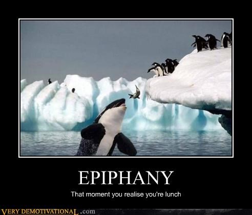 The Best 14 Funny Epiphanies - Best StockTrading Newsletter