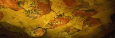 Parietal Paintings Cave Of Altamira Near Santillana D Canvas Print