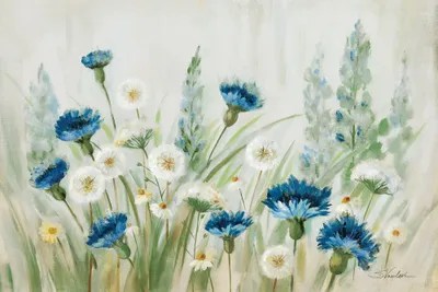 Fleurs Des Champs Canvas Art Print By Silvia Vassileva Icanvas