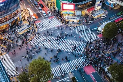 Shibuya Crossing Tokyo Canvas Print By Matteo Colombo Icanvas