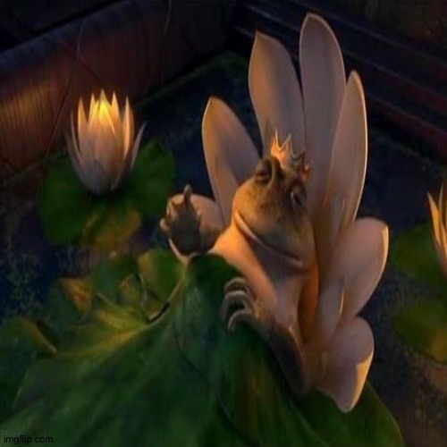 View 21 Shrek Frog Meme Template
