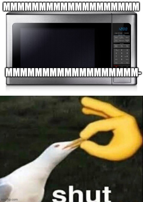 The Best 25 Shut Meme Seagull - baobabnuesz