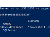 Running Sql Server Developer In A Windows Based Docker Container
