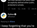 Java Vs Python Is Debatable рџ в Programmerhumor Io
