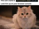 Cutejavascriptcat Programmerhumor Io