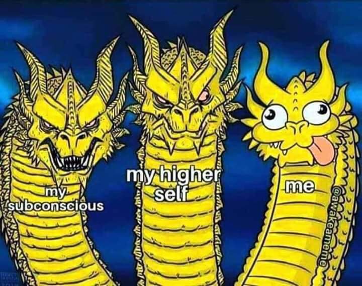 Lsd Dragon Meme | Humourve