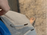 Any Love For A Soft Dick Links In Profile R Gaygifs