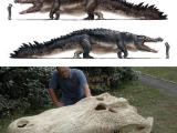 Prehistoric Giant Crocodile Giant Cretaceous Crocodile Sarcosuchus