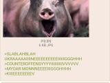 Anon Learns Ukrainian R 4chan