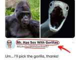 Omg R Unexpectedgorillasimp
