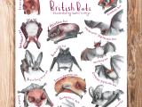 British Bats рџ R Bat