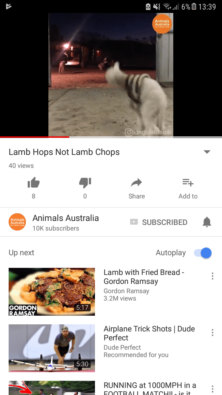 Youtube makes me sick – pics for the day