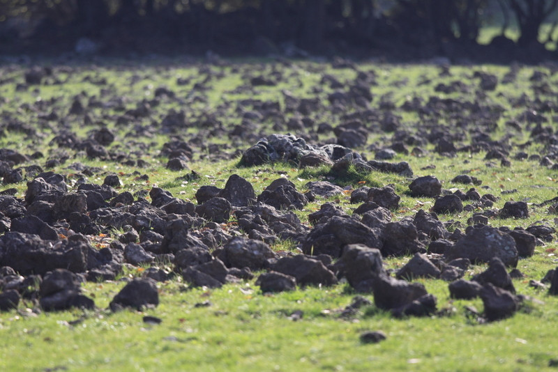 Python Openpyxl Adjust Column Width Size Stack Overflow