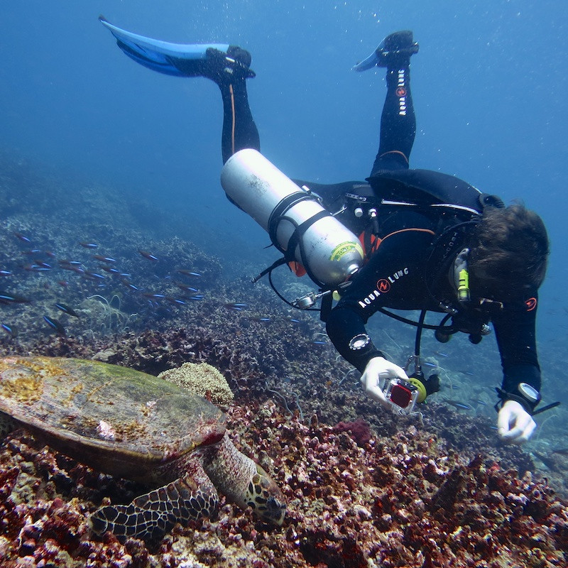 Python Json Serialize A Decimal Object Stack Overflow