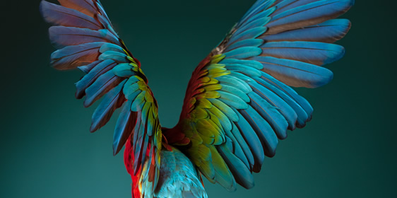 Python How To Write Dataframe To Postgres Table Stack Overflow