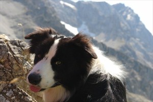 Python Most Idiomatic Way To Convert None To Empty String Stack