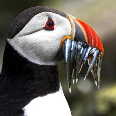 Python The Real Difference Between Float32 And Float64 Stack Overflow