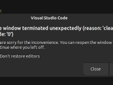 Nodejs Vscode The Window Terminated Unexpectedly Reason Clean Exit