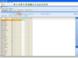 Net Specific Formatting For Datagridview Stack Overflow