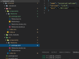 Reactjs How To Copy Package Json In Dist Or Build Folder When Running
