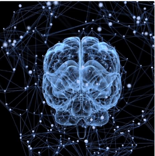 Python Inserting Image Into Ipython Notebook Markdown Stack Overflow