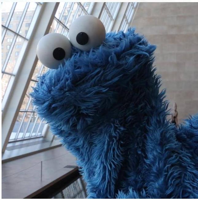 Sql Interpolated Strings Stack Overflow