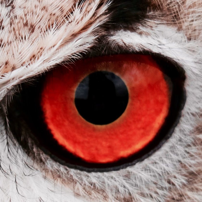 Python What Is A Clean Pythonic Way To Implement Multiple