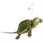 Python Evaluating A Mathematical Expression In A String Stack Overflow