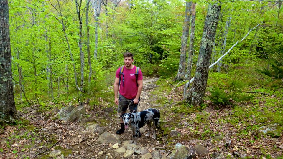 Pytest Cannot Import Module While Python Can Stack Overflow