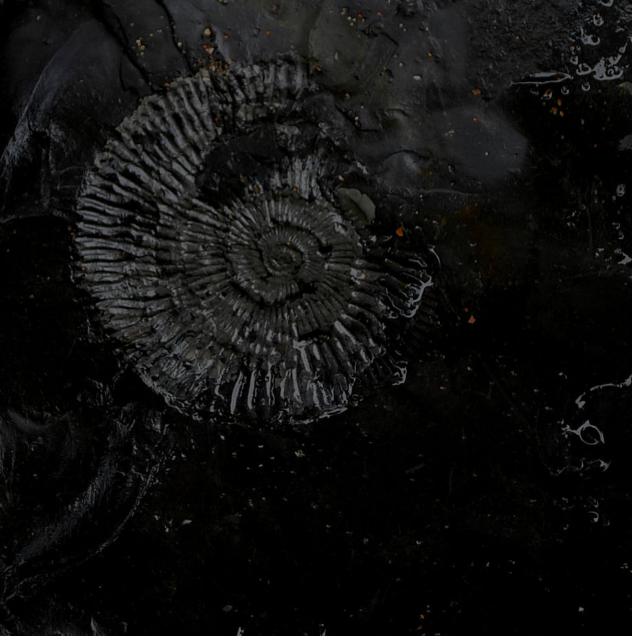 Python Modify A Particular Row Column Of A Numpy Array Stack Overflow