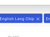 Javascript Is It Possible To Change The Language Of Chips Using Ngx