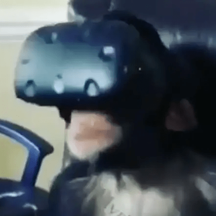 Repository What Is The Difference Between Github And Gist Stack