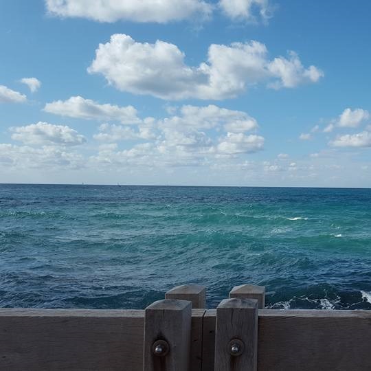 Difference Between Enum And Intenum In Python Stack Overflow