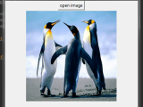 Python How To Add An Image In Tkinter Stack Overflow